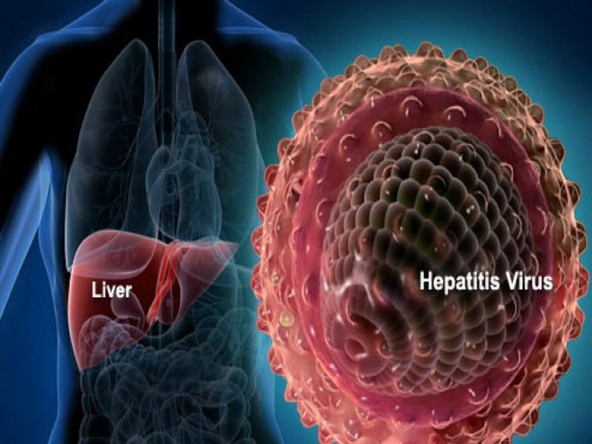 Hepatitis and Its Types: An In-depth Study of Hepatitis C from ...