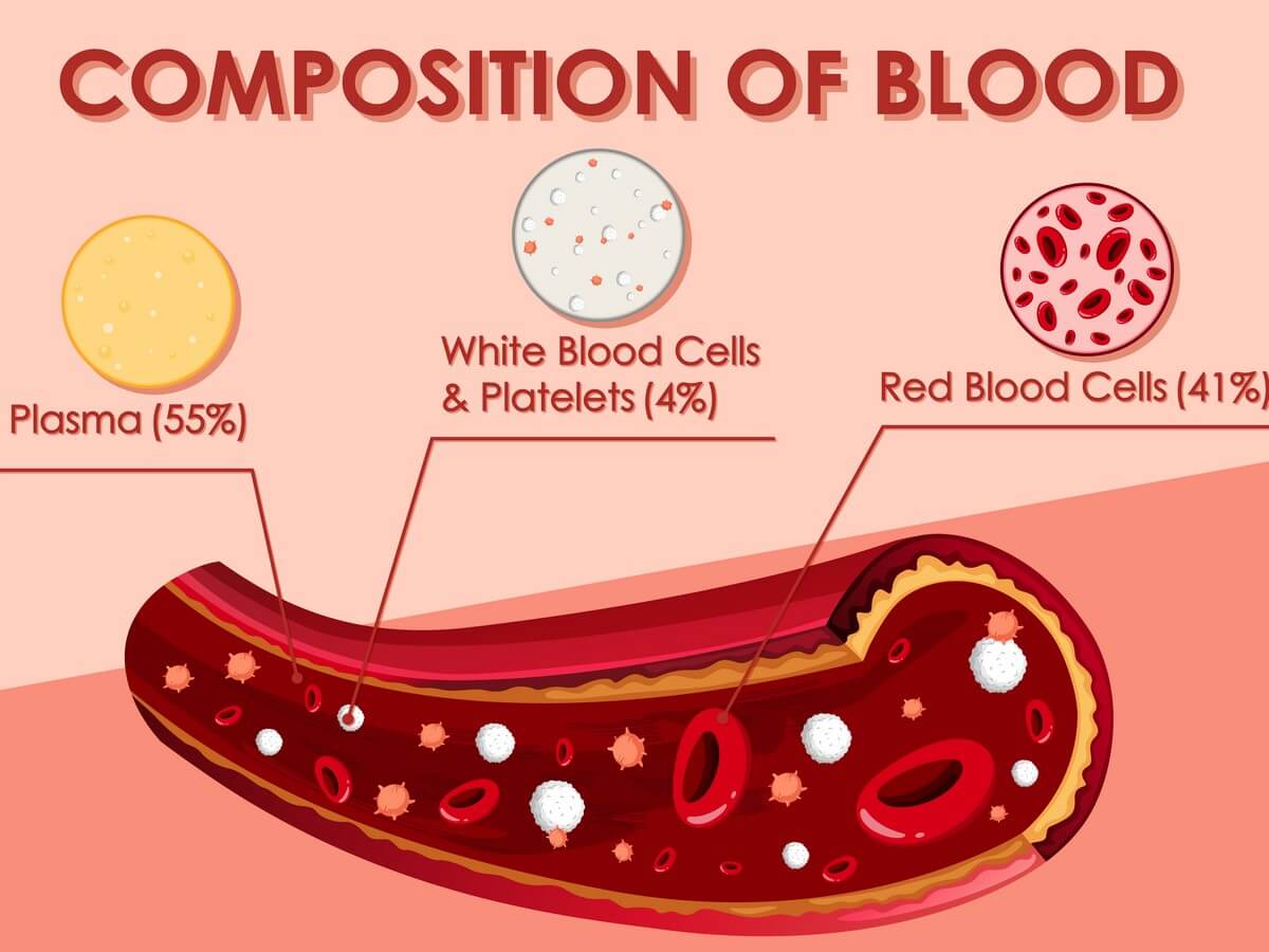 Micro Method for Estimation of Hematocrit (HCT) or Packed Cell Volume (PCV)